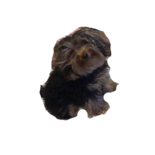 tst5 | Sticker Maker